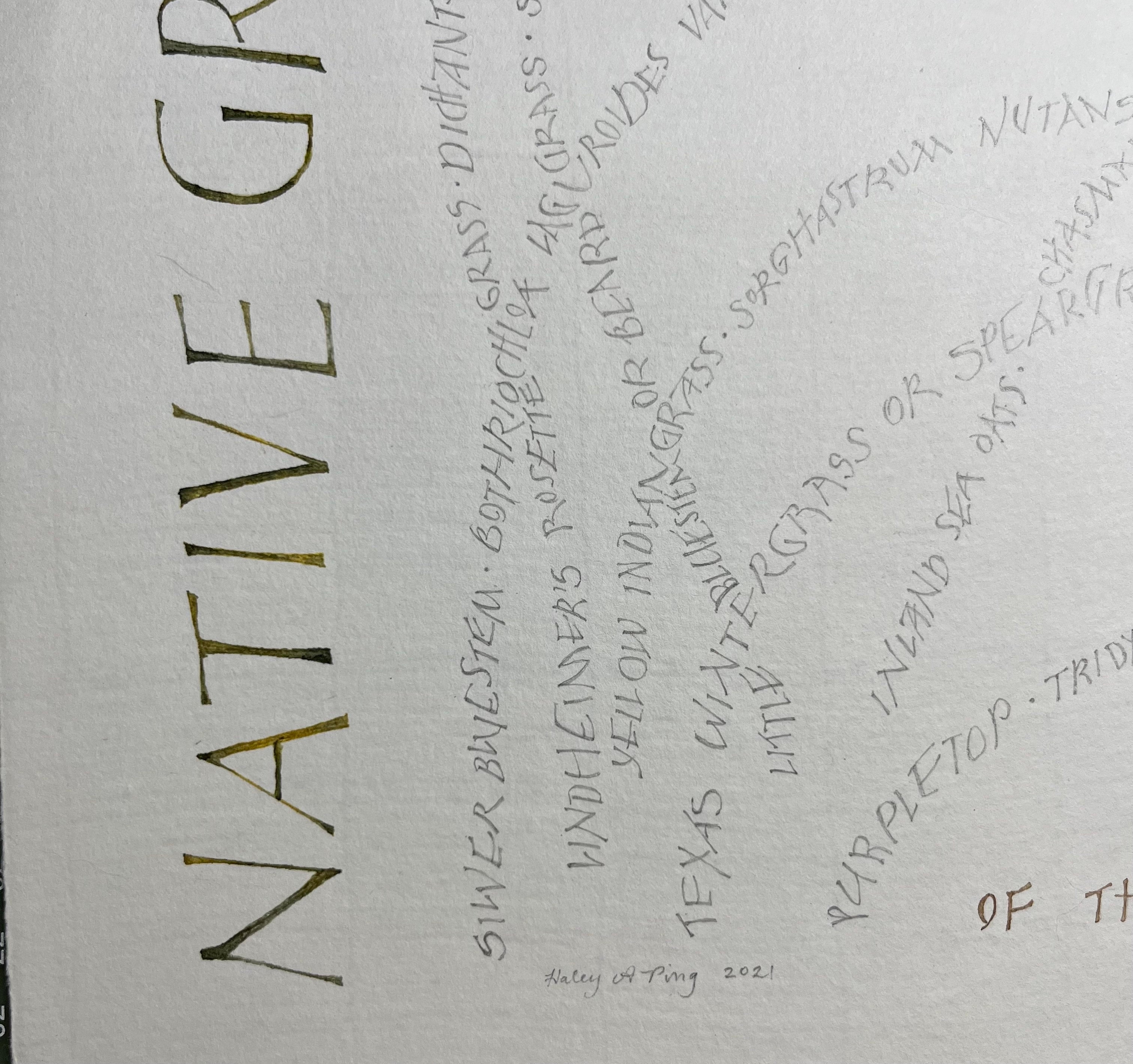 Texas Hill Country Native Grasses calligraphy broadside | Haley Arden ...